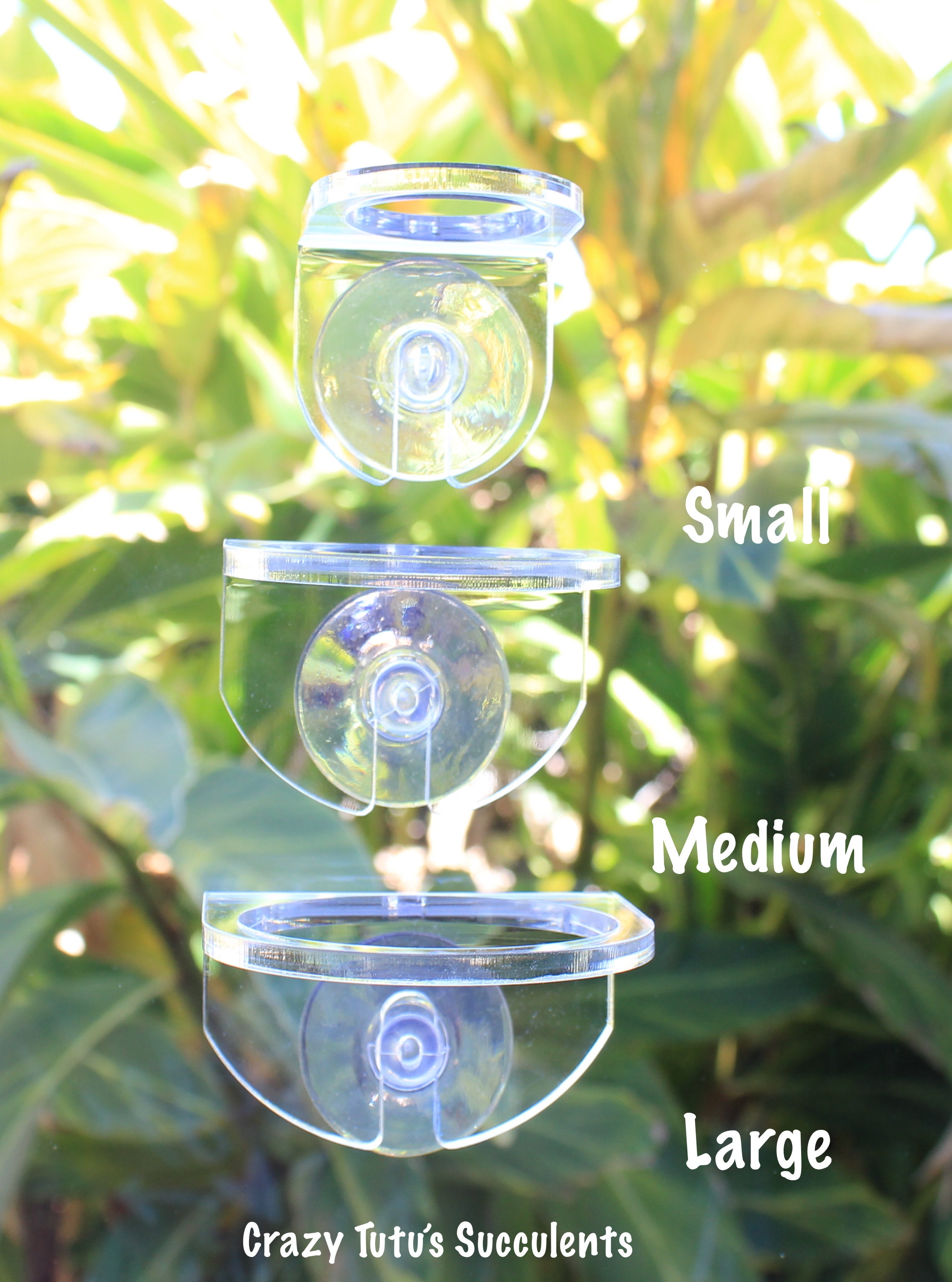 Acrylic Suction Cup Succulent/plant Holder for Windows, Glass Doors ...