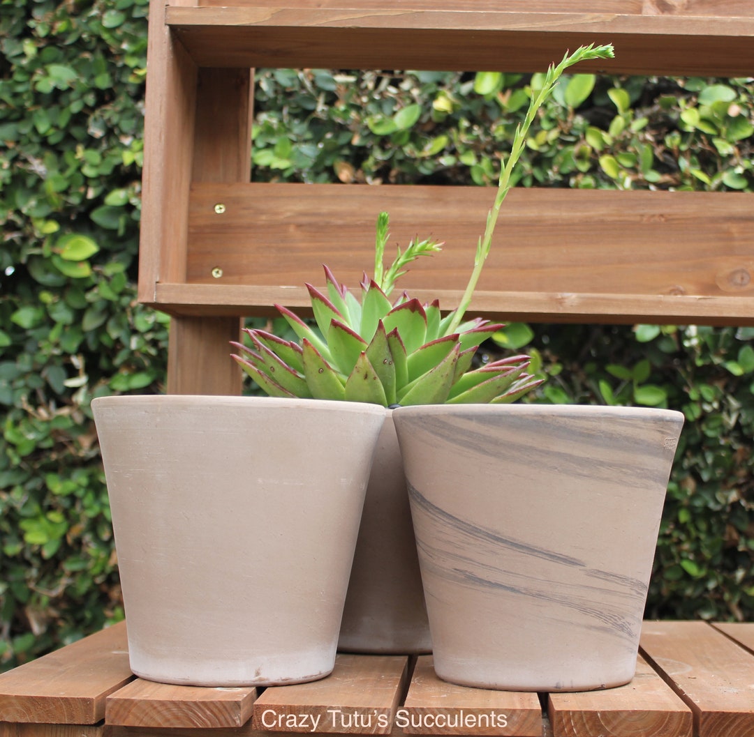 OMG! Back in Stock, Italian Terra Cotta 6x6 Pots Graphite/graphite ...