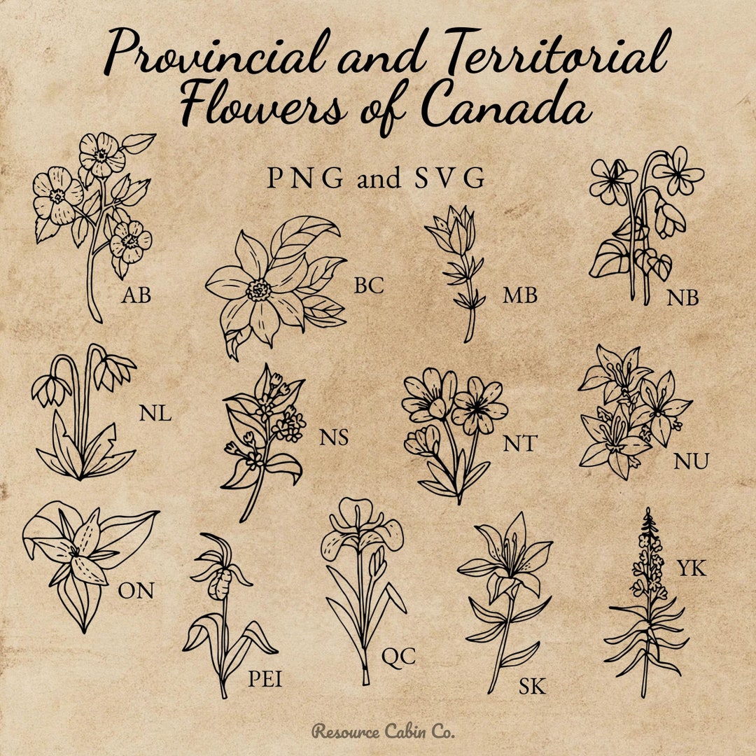 Provincial and Territorial Flowers of Canada SVG & PNG Clipart Graphic ...