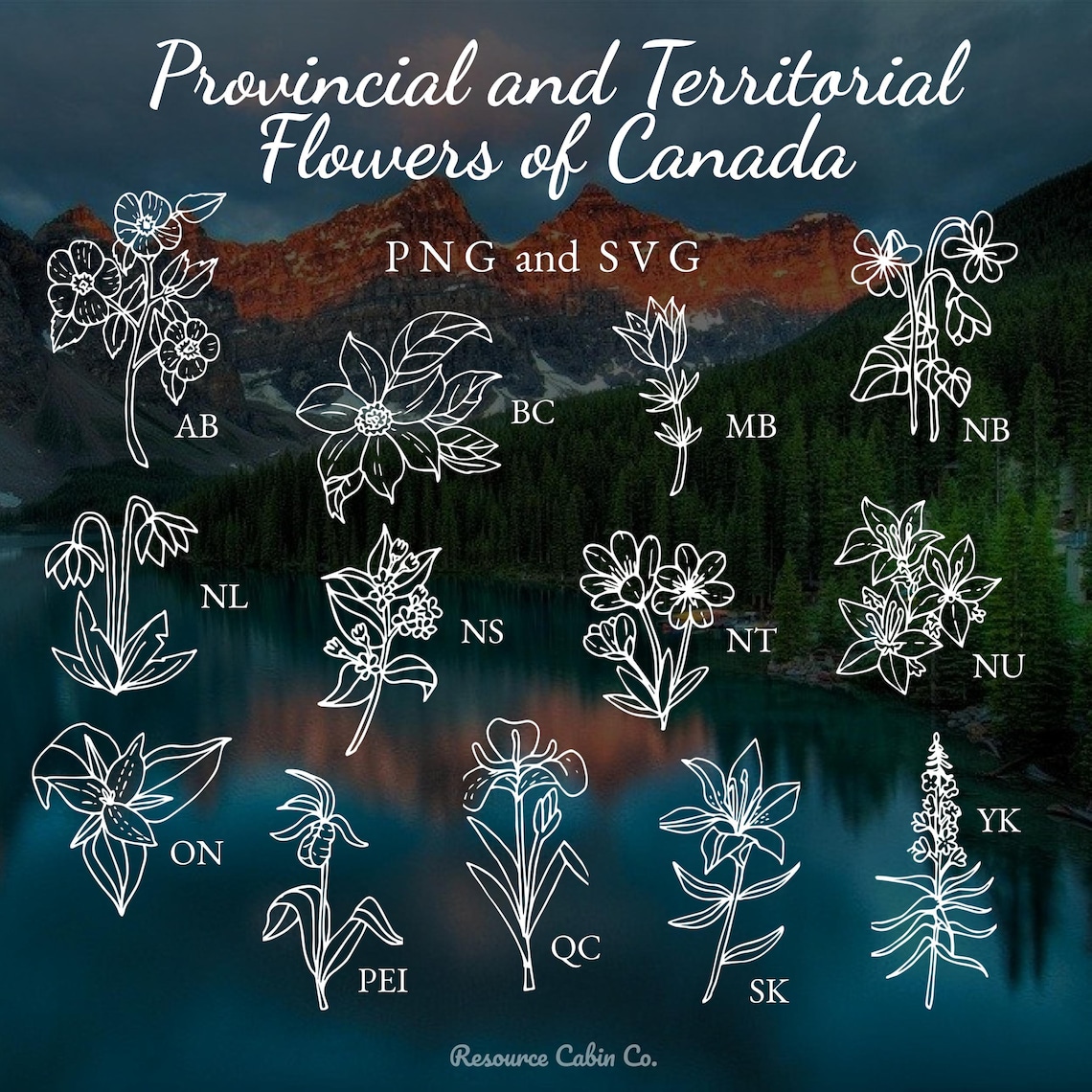 Provincial and Territorial Flowers of Canada SVG & PNG Clipart Graphic ...