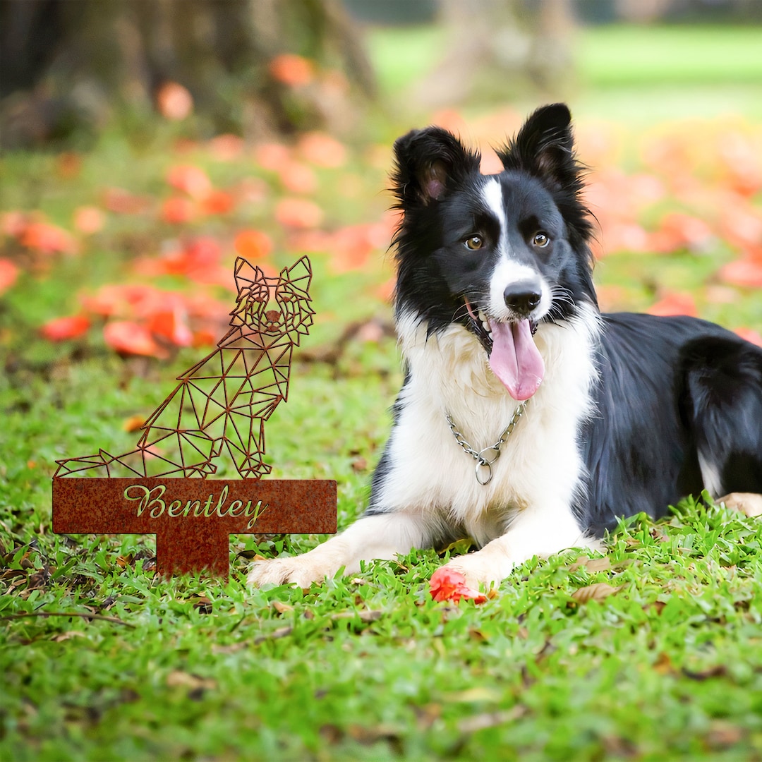 Rusty Border Collie Geometric Garden Stake, Border Collie Rusted Metal ...