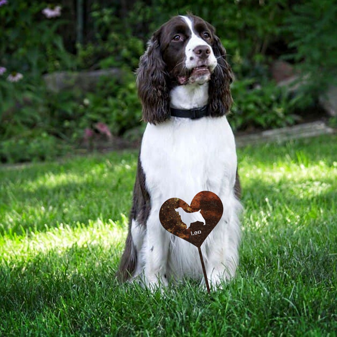 English Springer Spaniel Garden Sign Rusty, Dog Garden Stake, Rusted ...