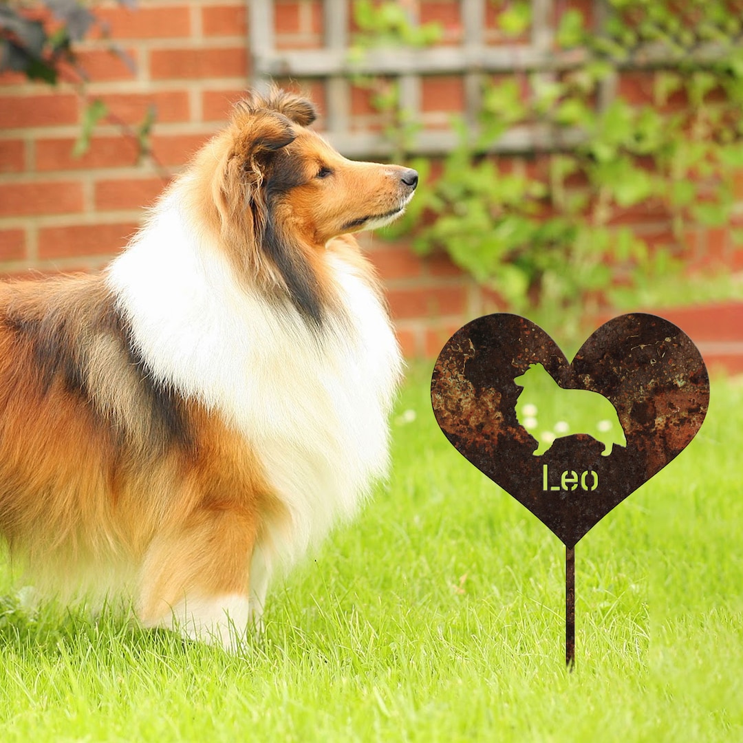 Rusty Shetland Sheepdog Garden Stake, Rusted Metal Yard Art - Etsy