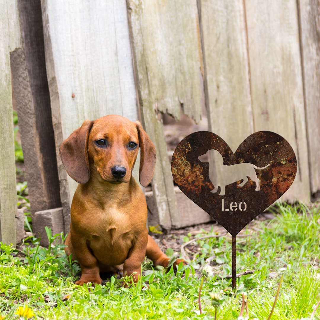 Dachshund Garden Sign Rusty, Dachshund Garden Stake, Rusted Metal Yard ...