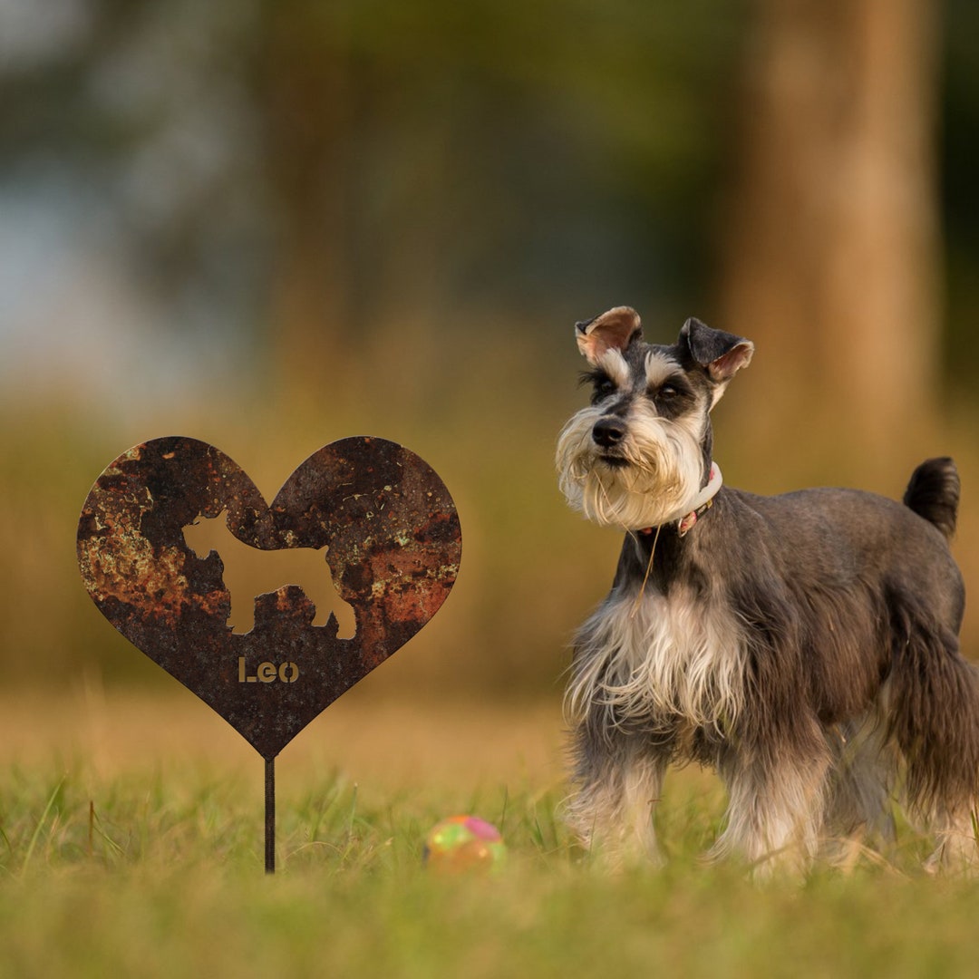 Miniature Schnauzer Garden Sign Rusty, Miniature Schnauzer Garden Stake ...