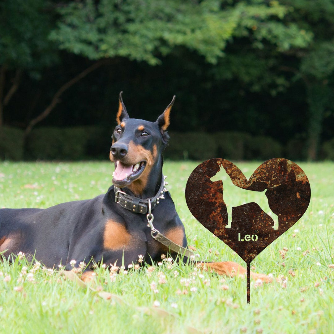 Doberman Pinscher Garden Sign Rusty, Garden Stake, Rusted Metal Yard ...