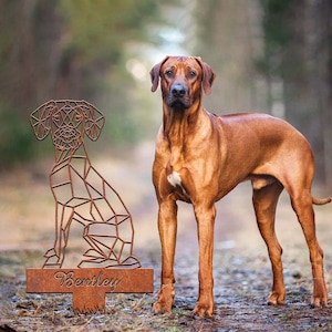 Rhodesian Ridgeback Geometric Garden Stake Rusty, Rusted Metal Yard Art ...