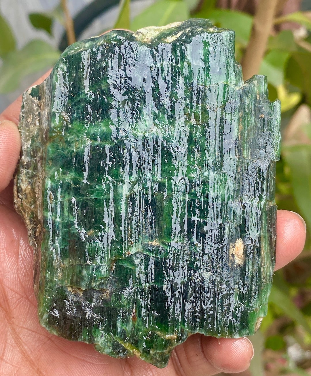 Natural Serpentine Raw Serpentine Rough Chakras Base 1425 Carat ...