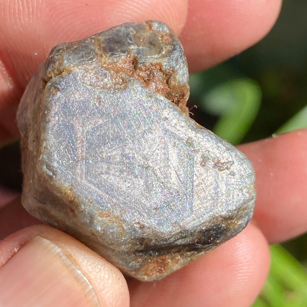 Natural Golden Star Sapphire Raw, Rare Deep Golden Sheen Sapphire Star ...