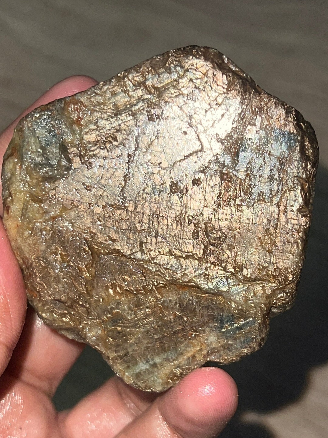 Natural Golden Star Sapphire Raw Rare Deep Golden Sheen - Etsy