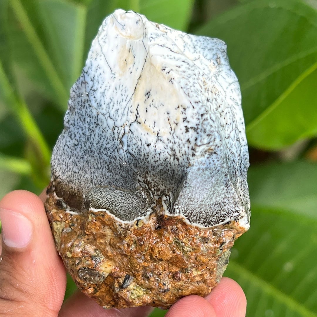 Natural Dendritic Opal Rough Gemstone, Dendritic Opal Raw, Dendritic ...