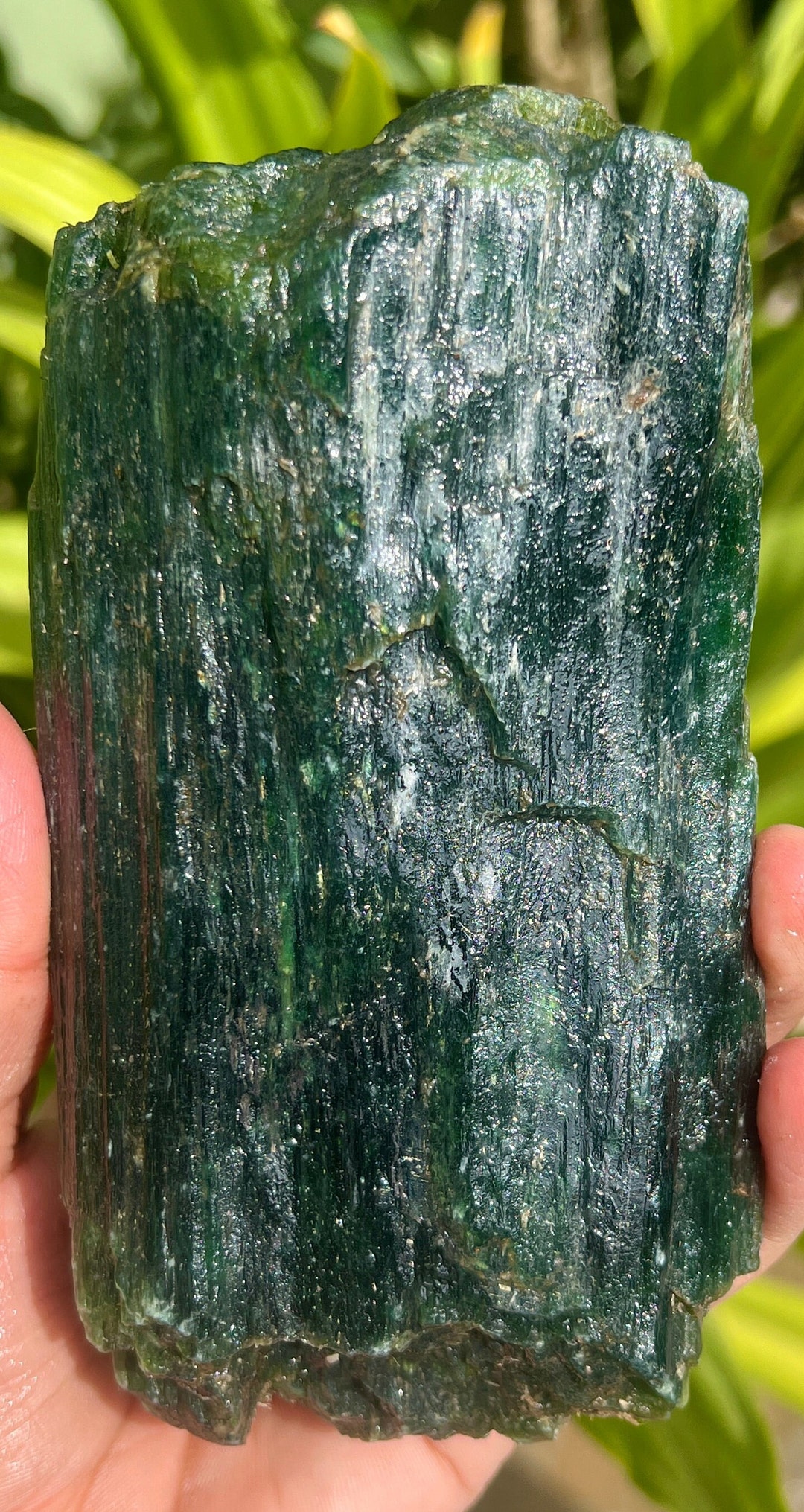 Natural Serpentine Raw Serpentine Rough Chakras Base 1700.0 Carat ...