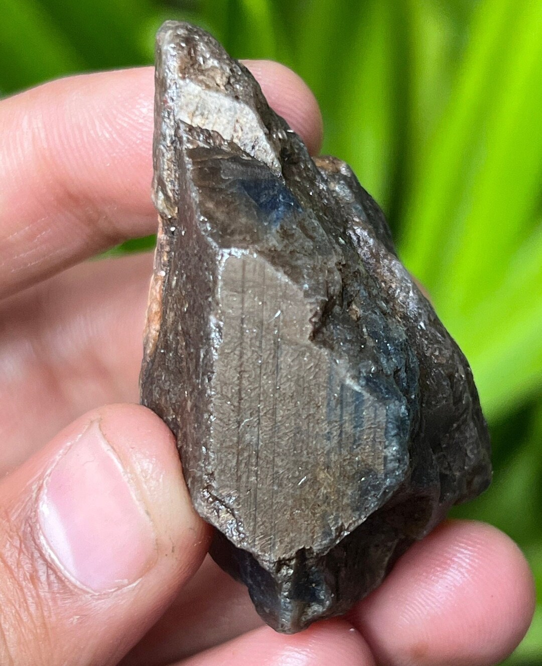 SAPHIR BLEU Saphir bleu naturel brut Cristal brut non traité Pierre de ...