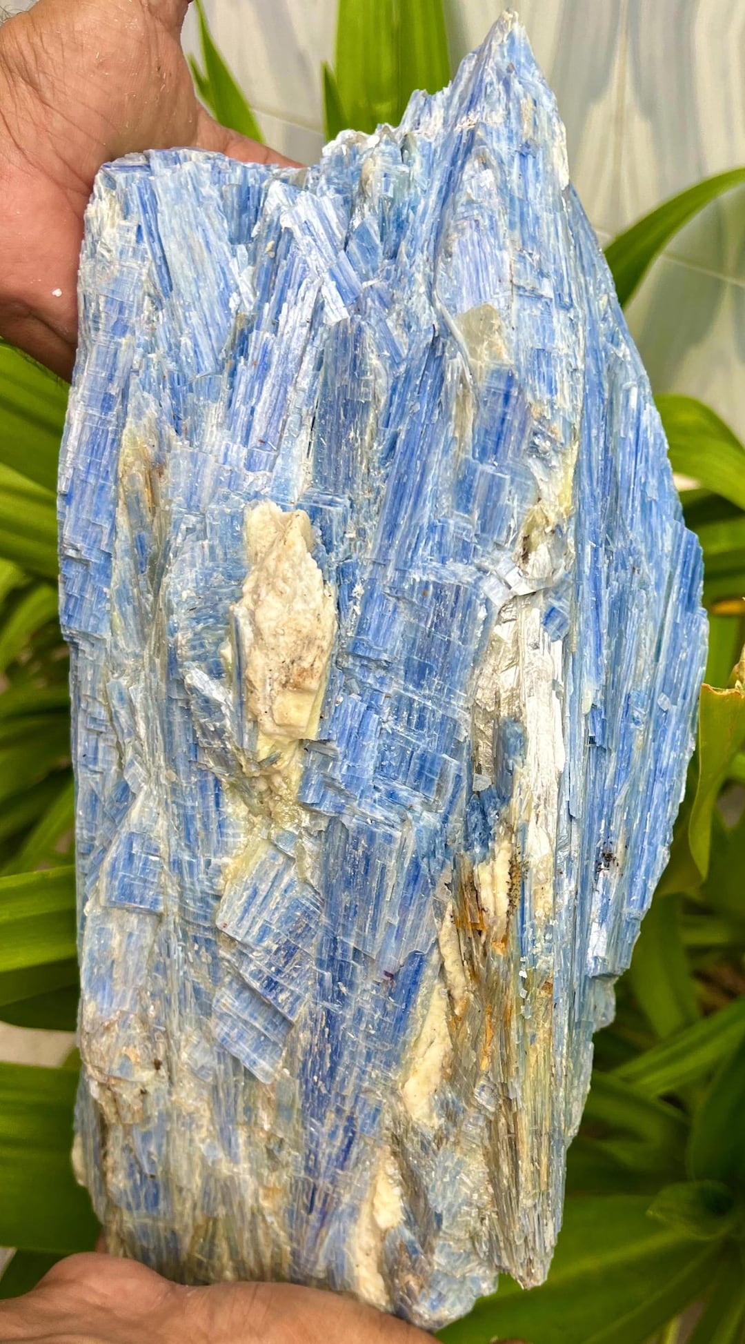 Large Raw Blue Kyanite Crystal Cluster, Healing Specimen (9.500 ...