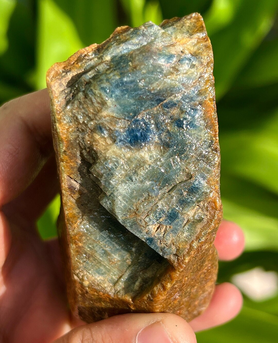 Golden Blue Sheen Sapphire Raw Extra Large Sapphire Specimen Meditation ...