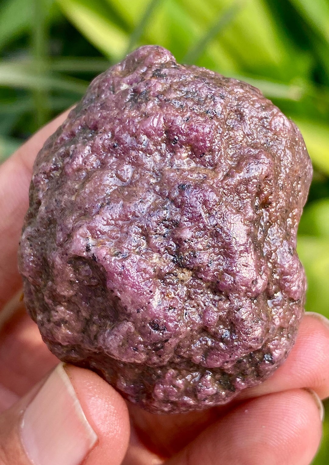 Natural Vintage Ruby Big Size Rough Natural Ruby Unheated Earth Mined ...