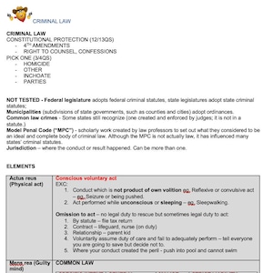 2022 UBE Bar Exam *** CRIMINAL Law & Procedure *** - Notes From Various ...