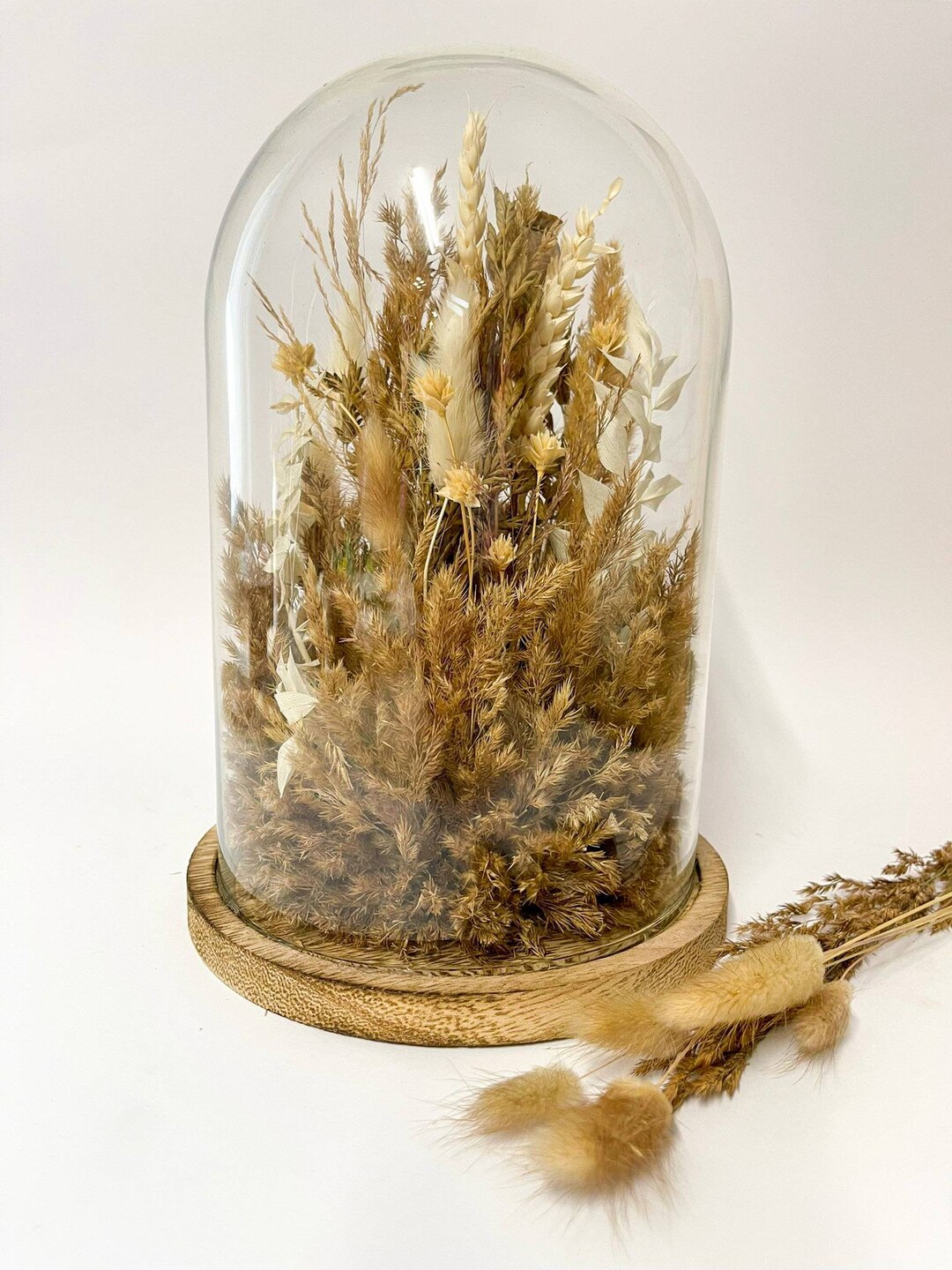 Large Glass Bell With Dried Flowers, Beige Brown, Poppy Capsule, Boho ...