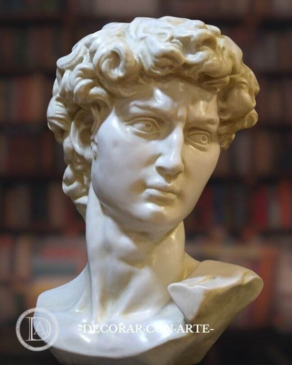 Michelangelo David Volto 1.018 Immagini Vettoriali E Grafica