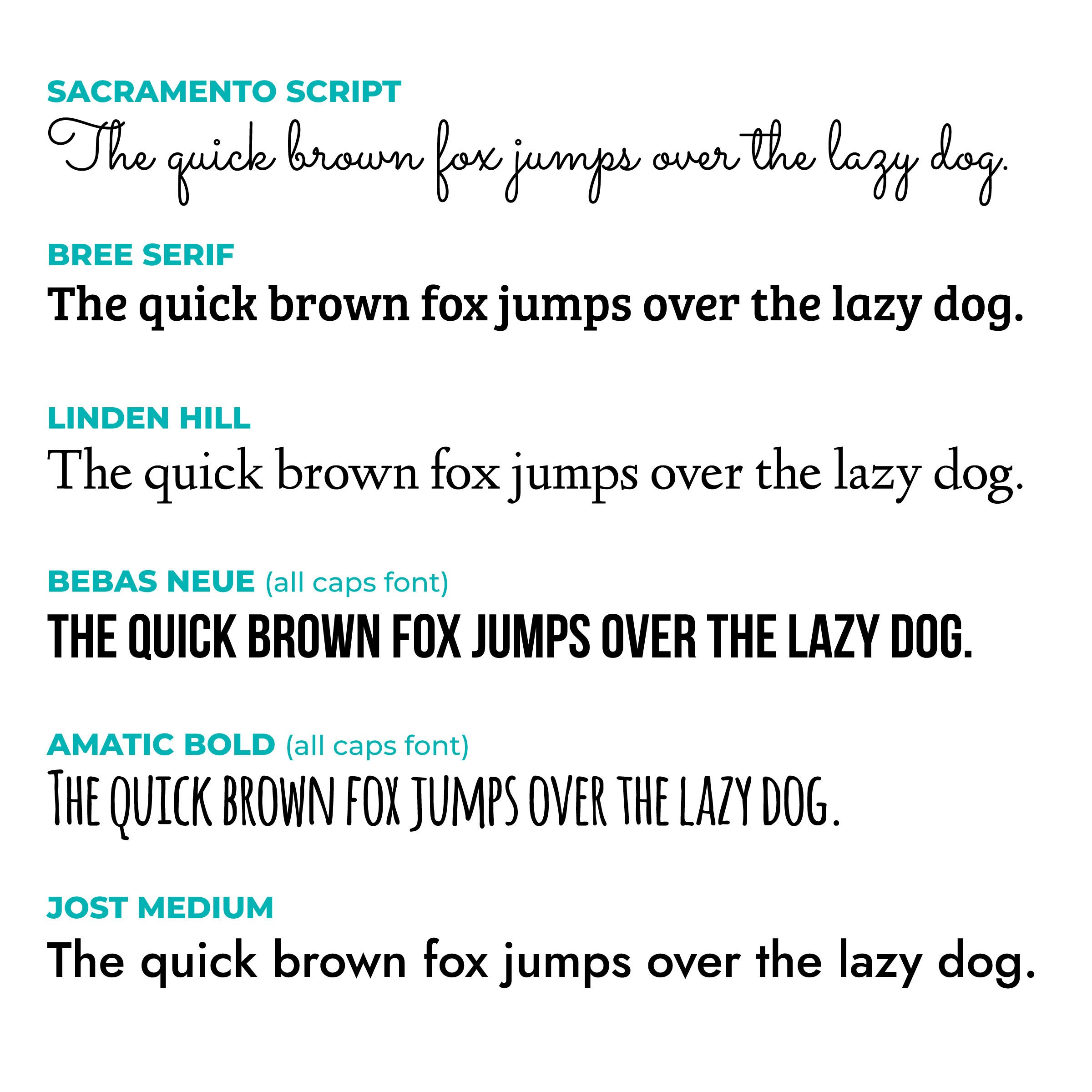 Speech Stack Speech Therapy Notebook SLP Notebook Speech Therapist ...