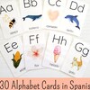 Large Laminated Alphabet Cards Picture Alphabet Flashcards Homeschool ...