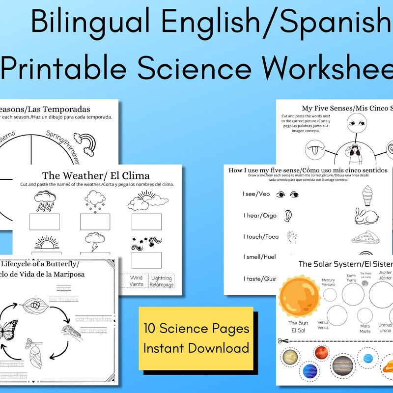 Homeschoolwithlizz - Etsy