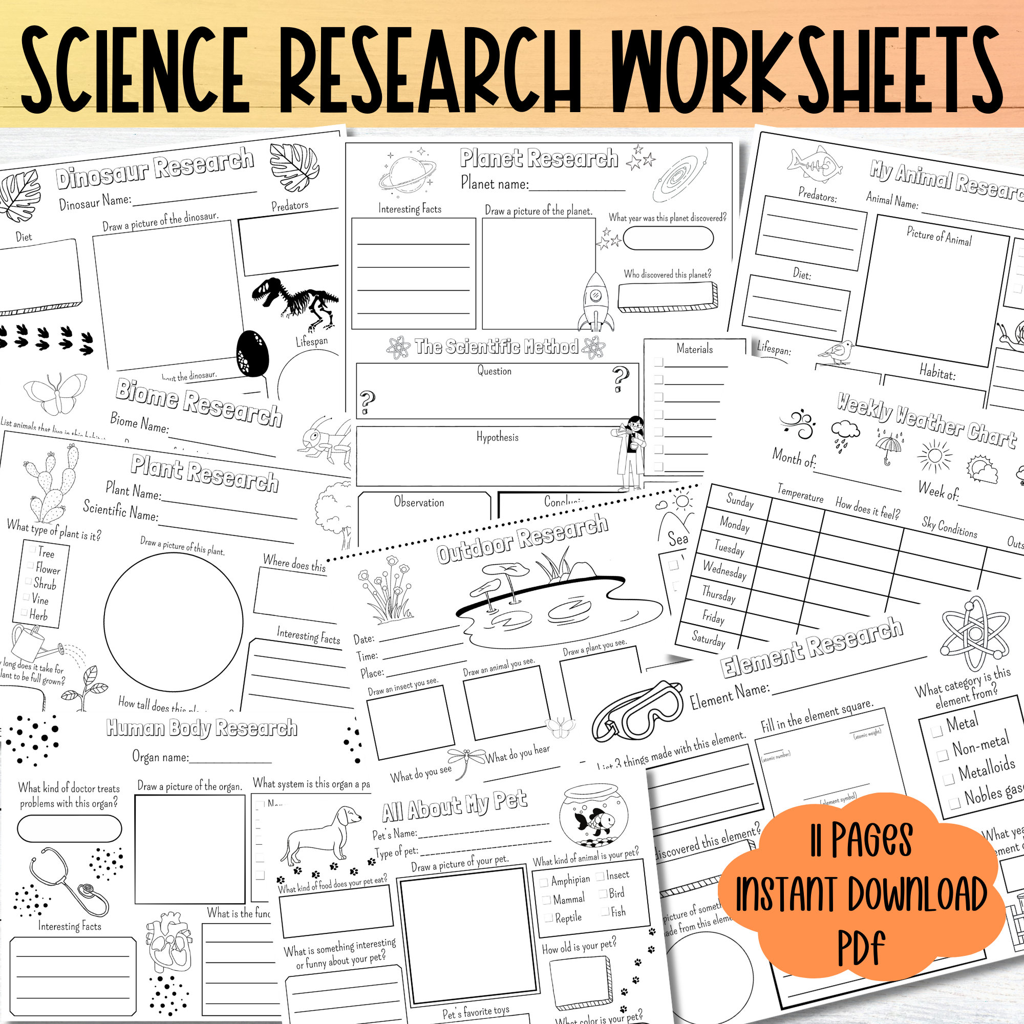 Hoja De Trabajo De Actividad Científica