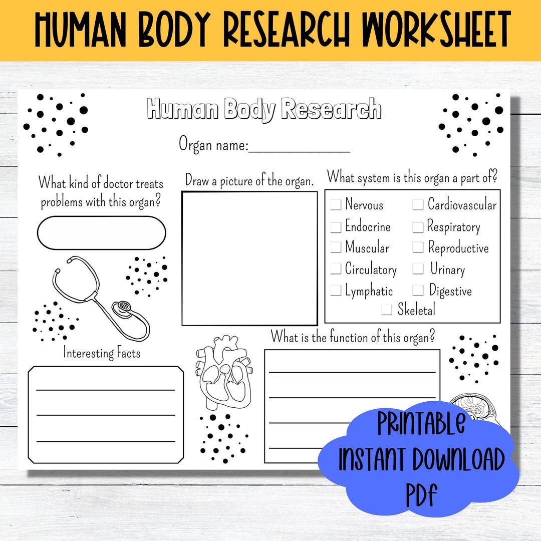 Human Body Study Research Report Template Printable Worksheet ...