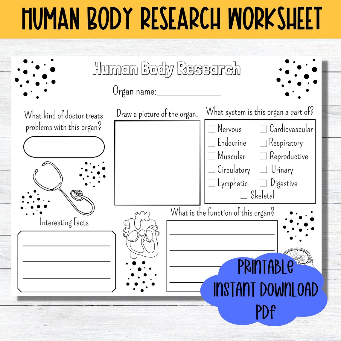 Human Body Organ Research Worksheet, Homeschool Science (PDF) - Etsy