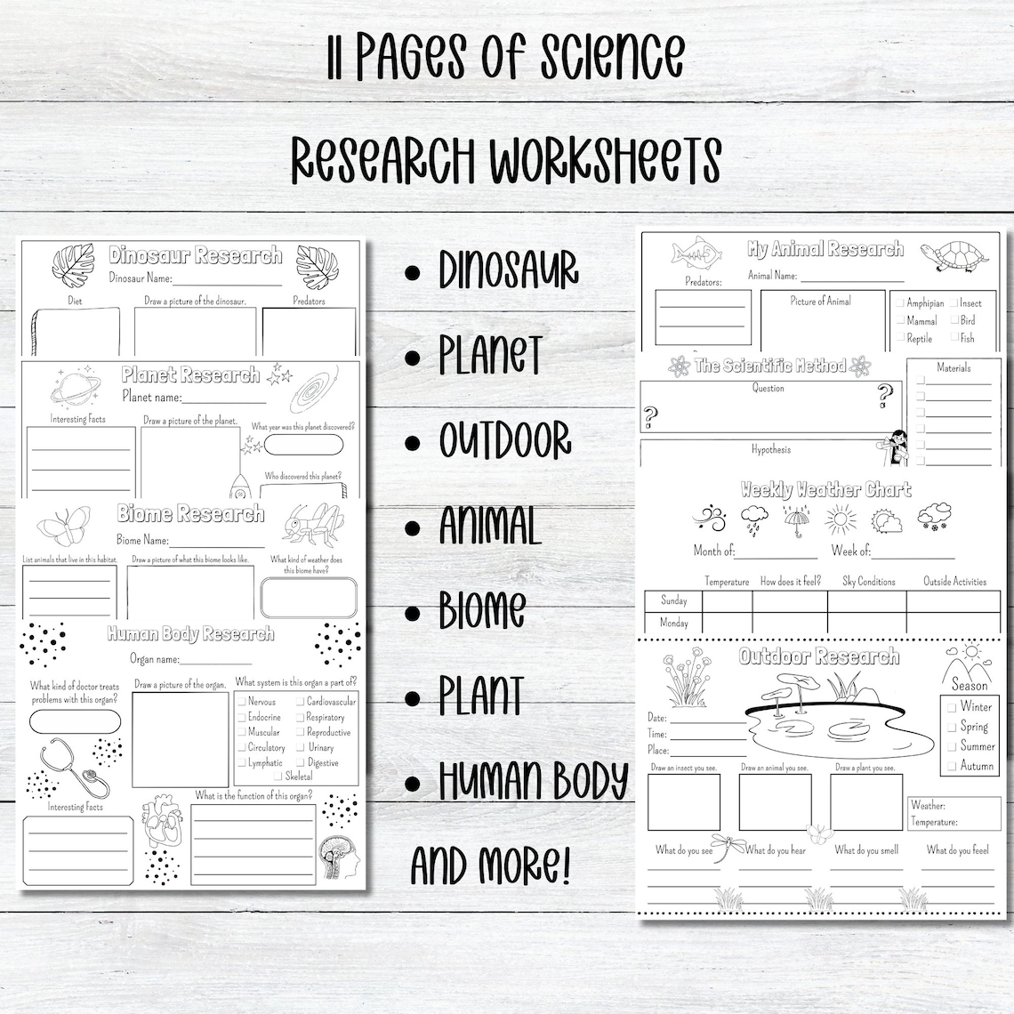Science Worksheet Printable Science Research Worksheet Homeschool ...