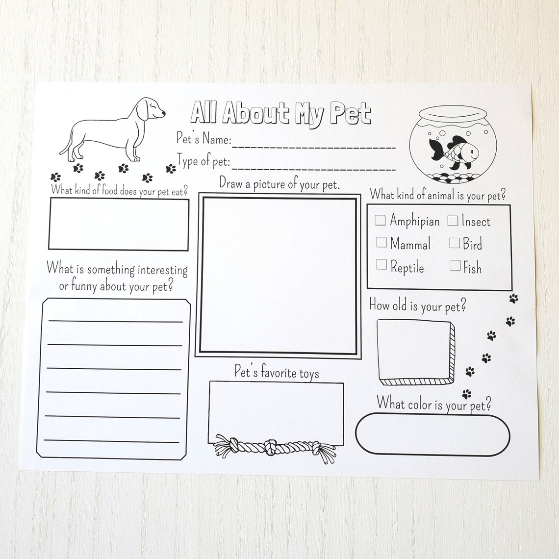 All About My Pet Worksheet: Animal Coloring Page (PDF Pattern) - Etsy
