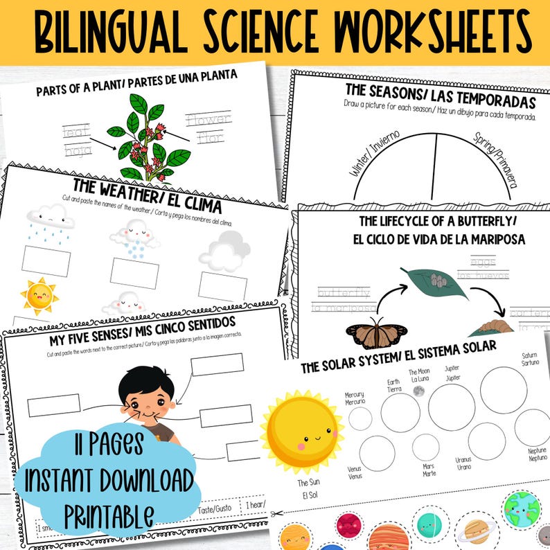 Bilingual English Spanish Worksheet Printable Science Activity Pages ...