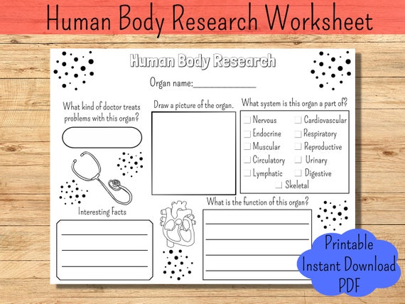 Human Body Organ Systems Worksheet