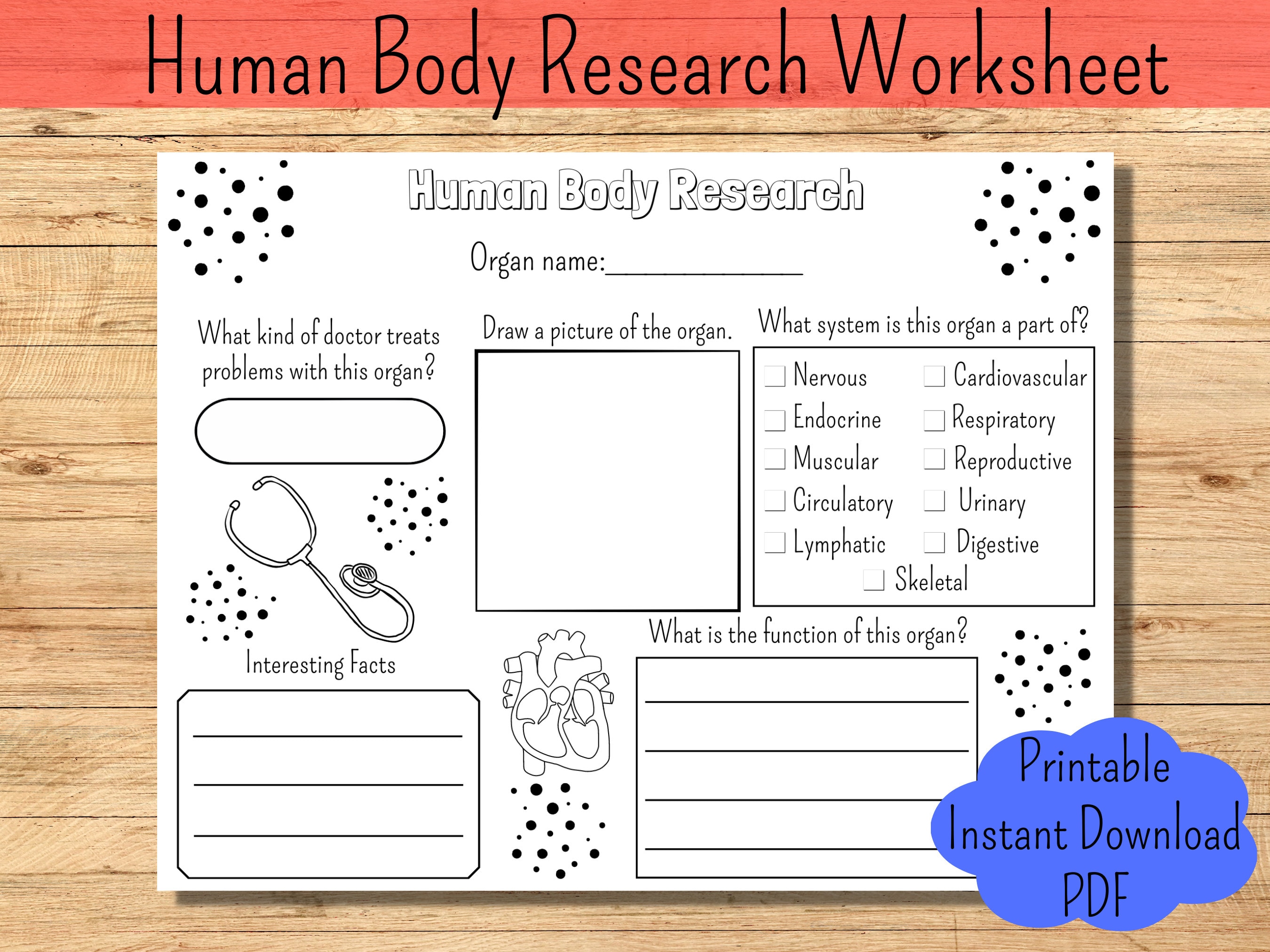 Human Body Worksheet Human Body System Research Kids Science - Etsy UK