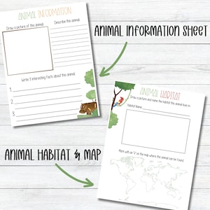 Animal Research Report Project Kid Animal Report Homeschool Science ...