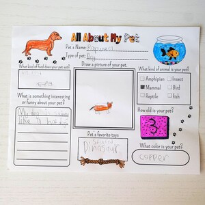 All About My Pet Printable Worksheet Animal Coloring Page Homeschool ...