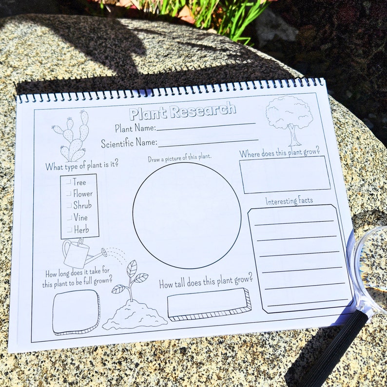 Plant Research Worksheet: Homeschool Science Activity (PDF) - Etsy