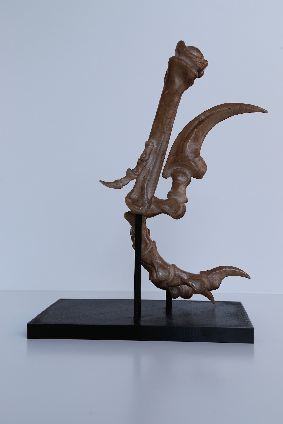 Velociraptor Foot and Stand - Life Sized Replica Including Display Base ...