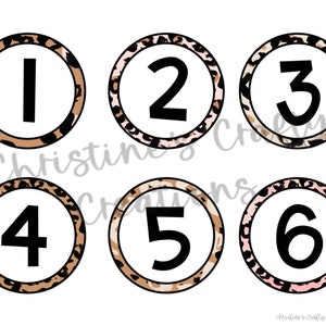 Leopard Book Box Labels L Editable - Etsy