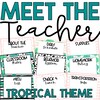 Tropical Leaves 2D Shape Posters - Etsy