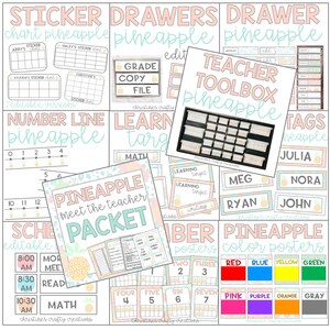 Pineapple Classroom Decor Bundle - Etsy