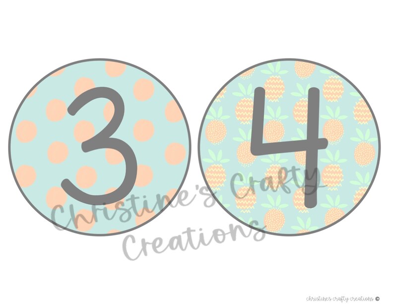 Pineapple Table and Cubby Numbers - Etsy