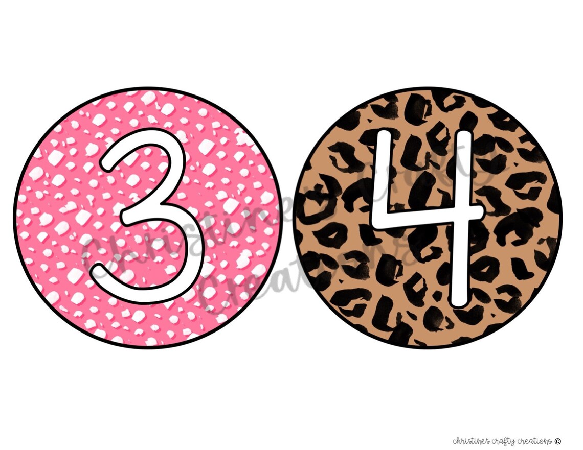 Groovy Leopard and Dalmatian Table and Cubby Numbers - Etsy