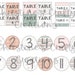 BOHO Table and Cubby Numbers - Etsy