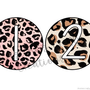 Leopard Table and Cubby Numbers - Etsy