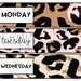 Leopard 12 Drawer Labels L Editable - Etsy