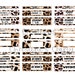 Leopard Binder Covers and Spines L Editable - Etsy