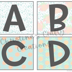 Pineapple Book Bin Labels L Editable - Etsy