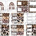 Leopard 12 Drawer Labels L Editable - Etsy
