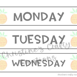 Pineapple 10 Drawer Labels L Editable - Etsy